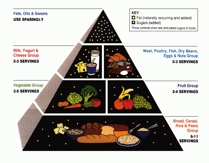 New Food Pyramid 2026: A Game-Changing Shift in Dietary Guidelines - BeKeto™